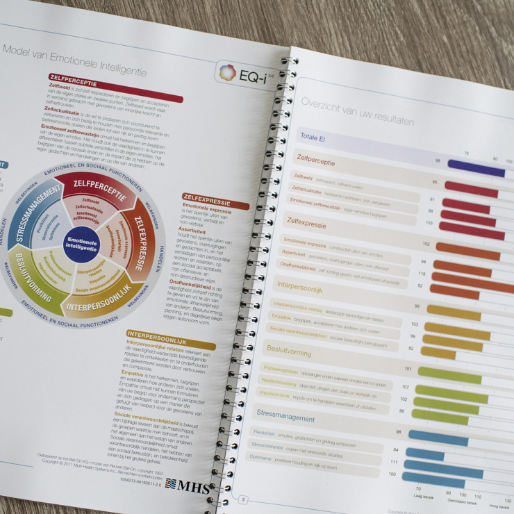 BarOn EQ-i © Emotional Intelligence Test | Jacoba van Egmond
